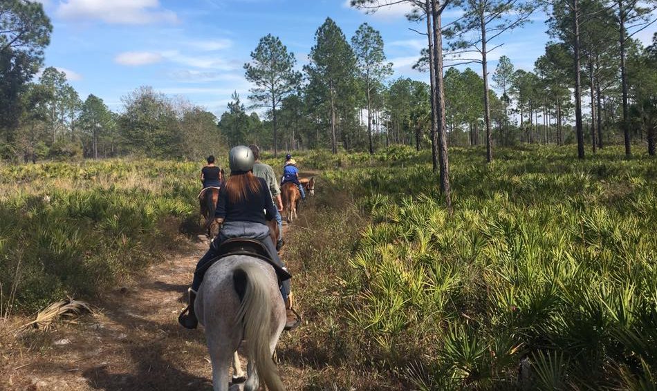 Just Horse'n Around | Horseback Riding in Inverness FL